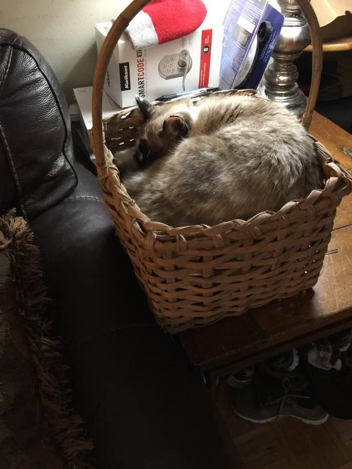 John Cecchini from Orangeburg High School - Classmates