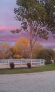 Contact Us :: Silver Maple Farm