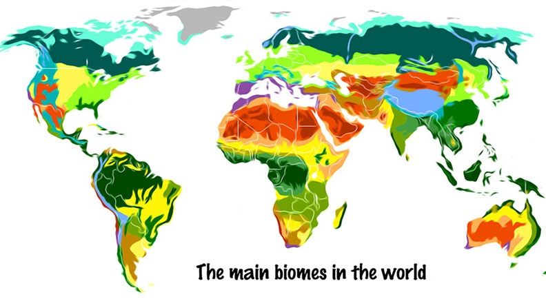Biomes Map