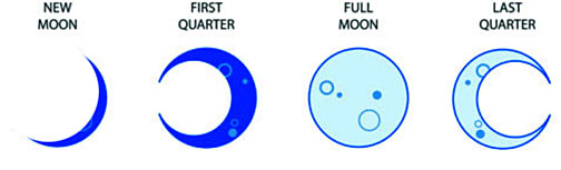 The Rhythms of Day and Night