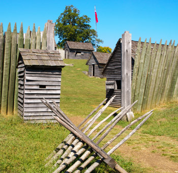 The Rugged Americans Module Review