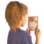 Transpiration Assignment