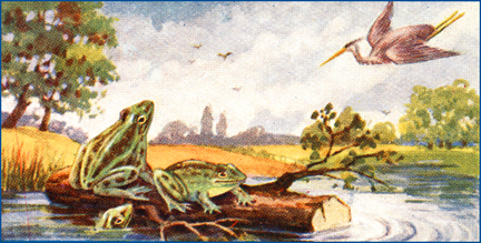 Think about the Fable