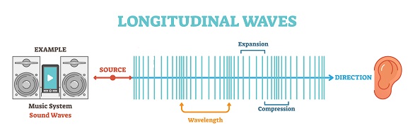 Parts of a Longitudinal Wave