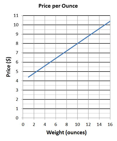 Visualizing the Model