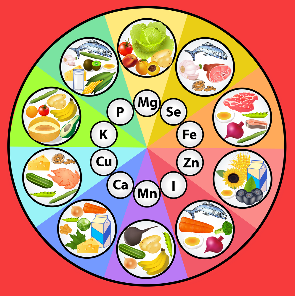 Now Meet the Micronutrients!