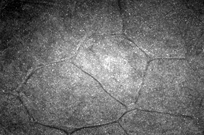 Tessellations in Architecture