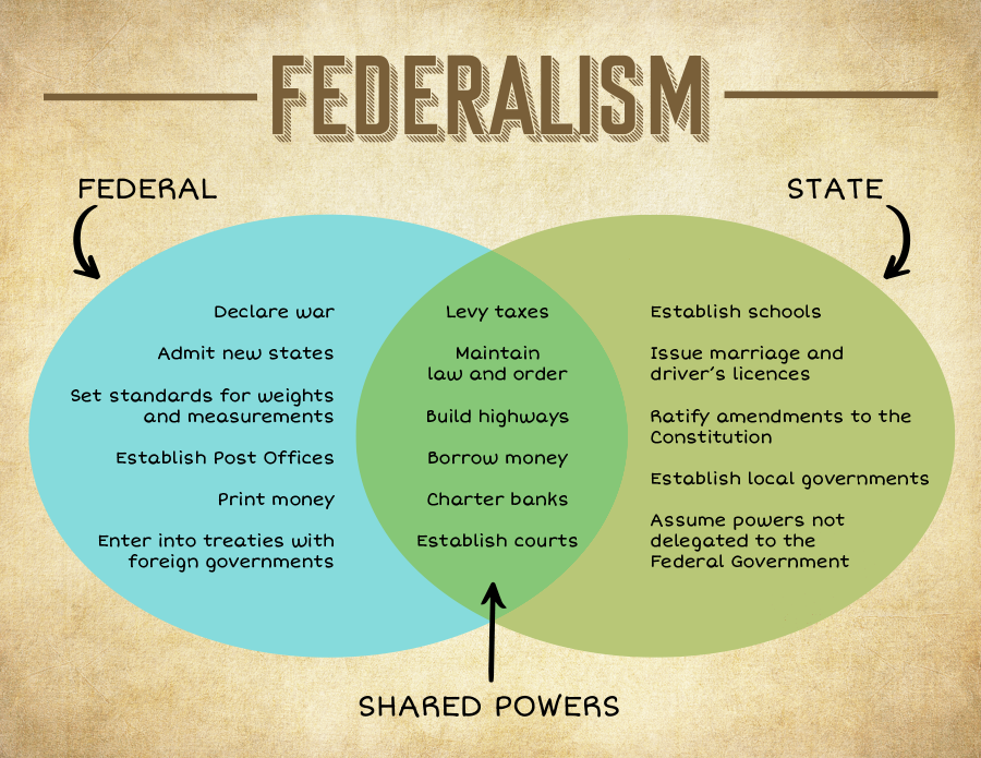 Federal vs. State Government Journal