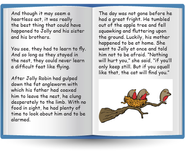 Reading: Jolly Robin