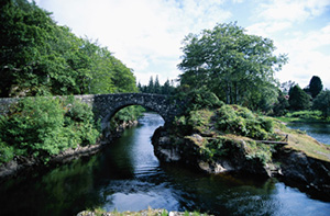 A Bridge Between Words