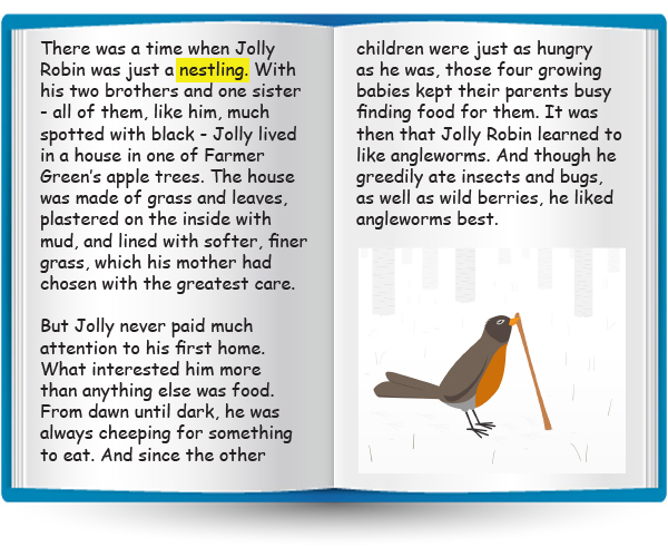 Reading: Jolly Robin