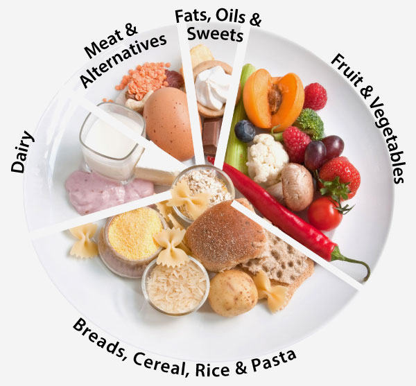 Planning a Healthy Menu for a Day