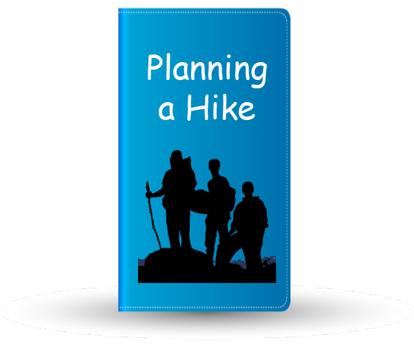 Reading Comprehension