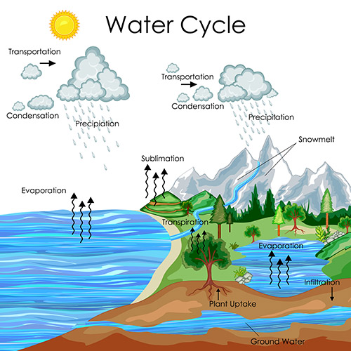 The Water Cycle
