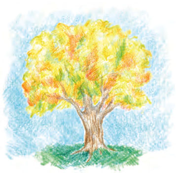 The Mighty Oak