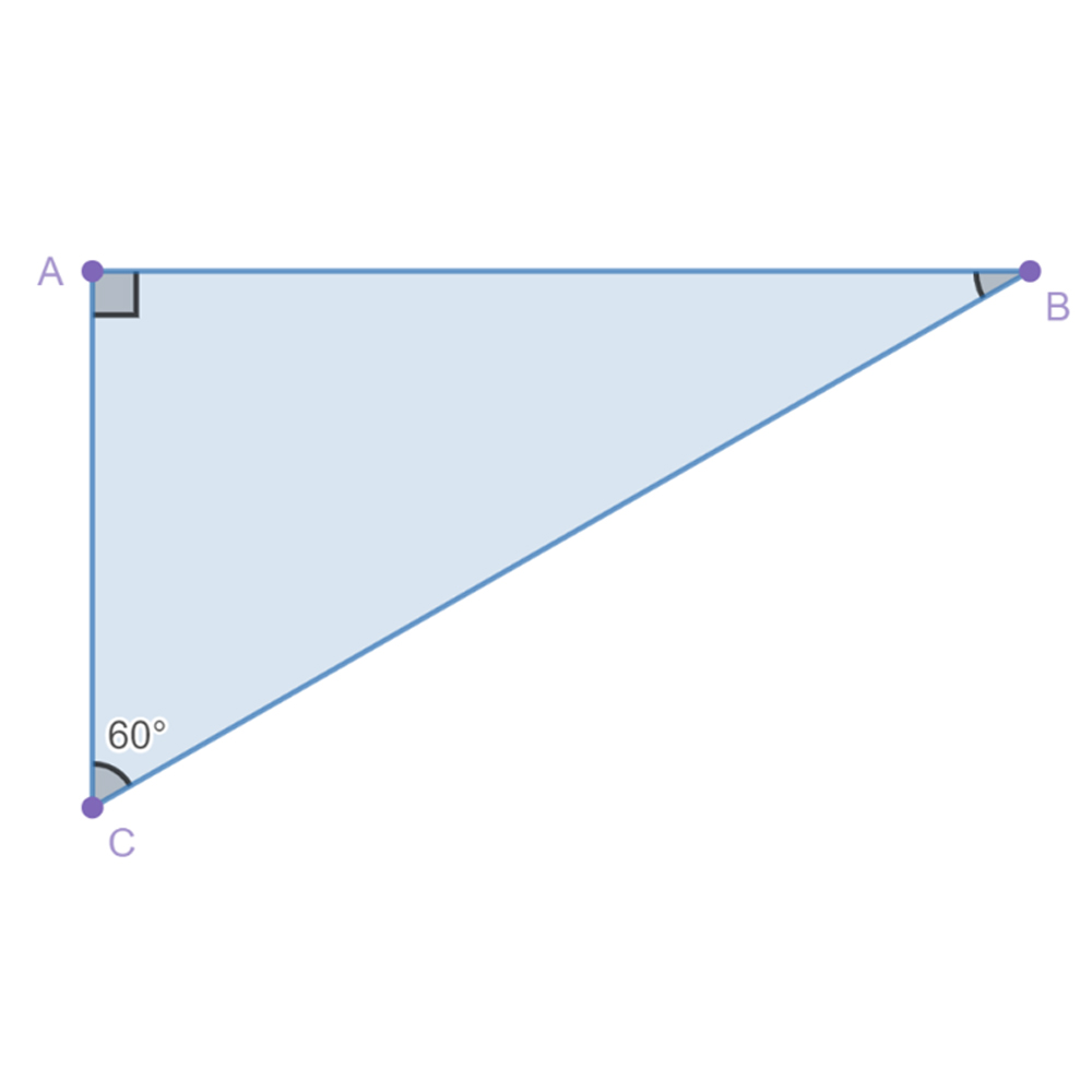 Practice Using the Triangle Sum Theorem