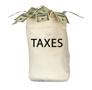 Government and Taxes