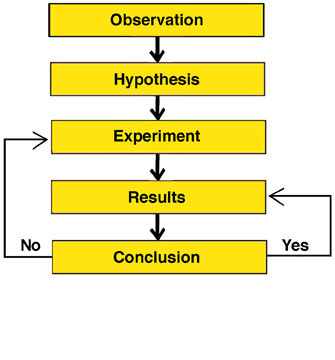 The Scientific Method