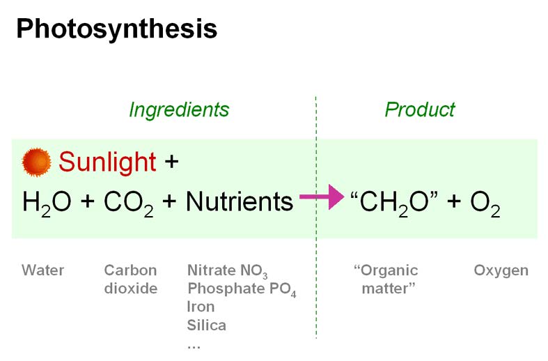 Photosynthesis Equation