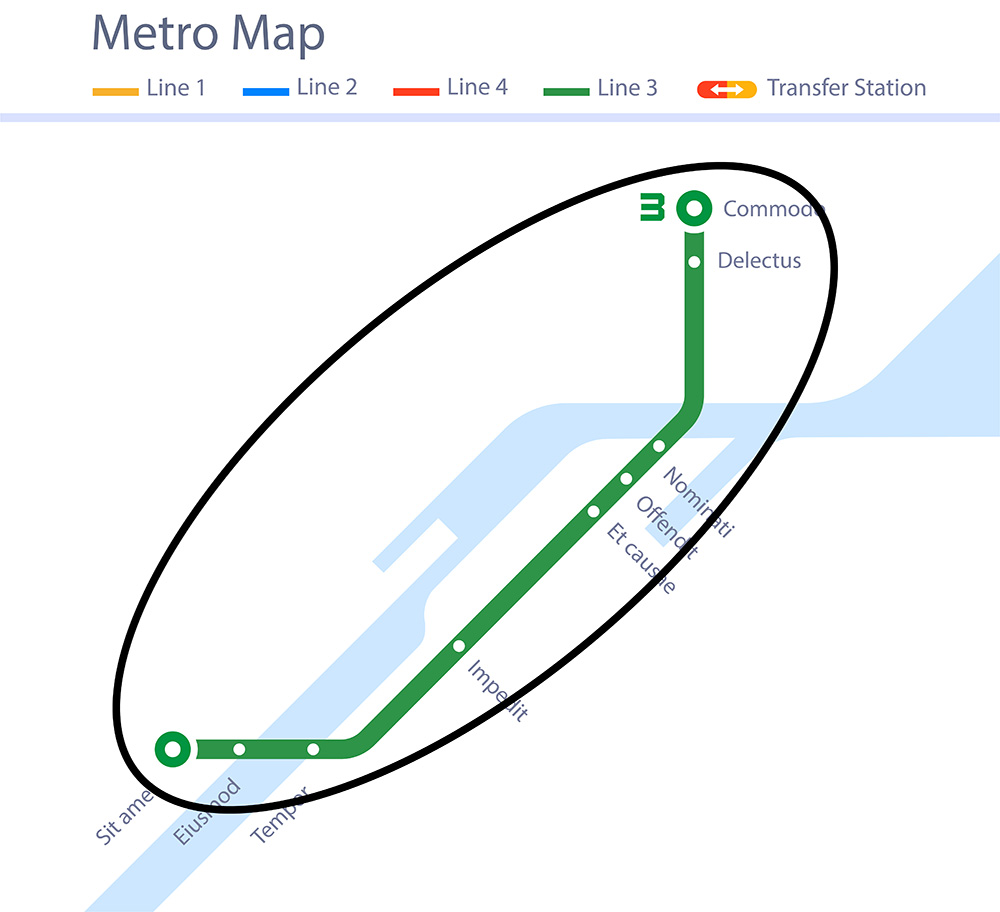 Understanding Public Transportation
