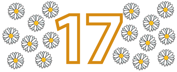 The Number Seventeen Assignment