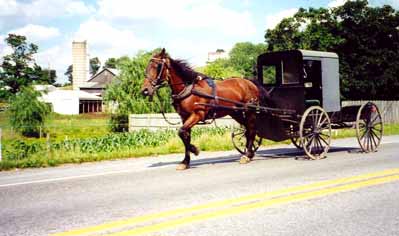 The Pennsylvania Dutch