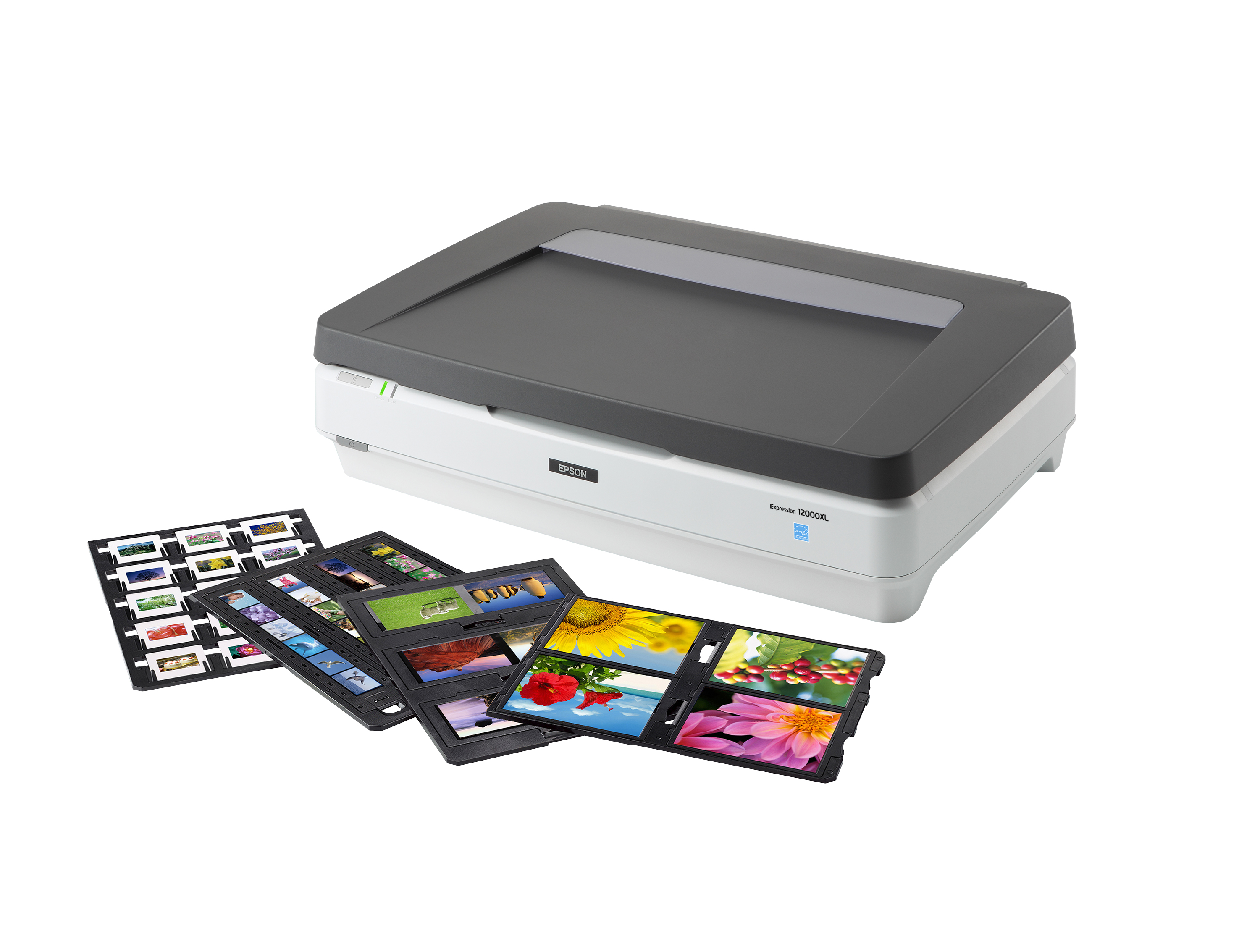 Epson Debuts New Large-Format Scanner for Graphic Artists and Pro ...