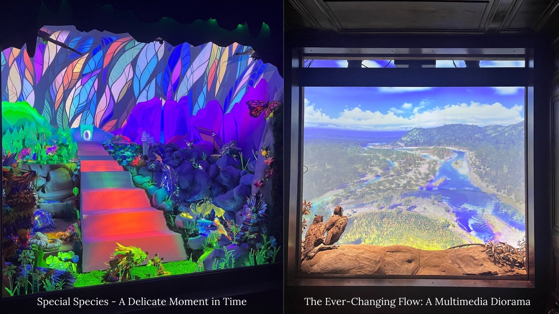 Artists Push Diorama Boundaries with Unique Blend of Art and Science at ...