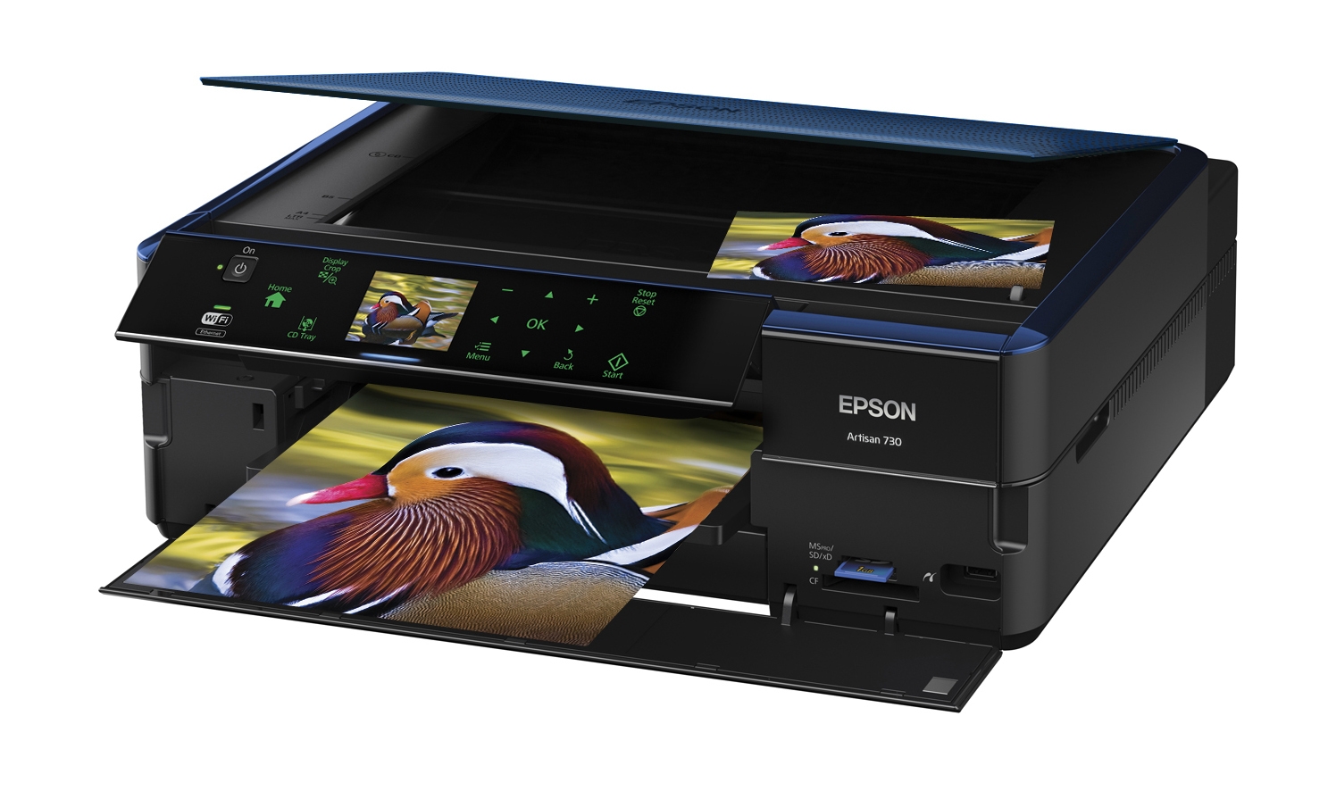 Media Library | Epson CA