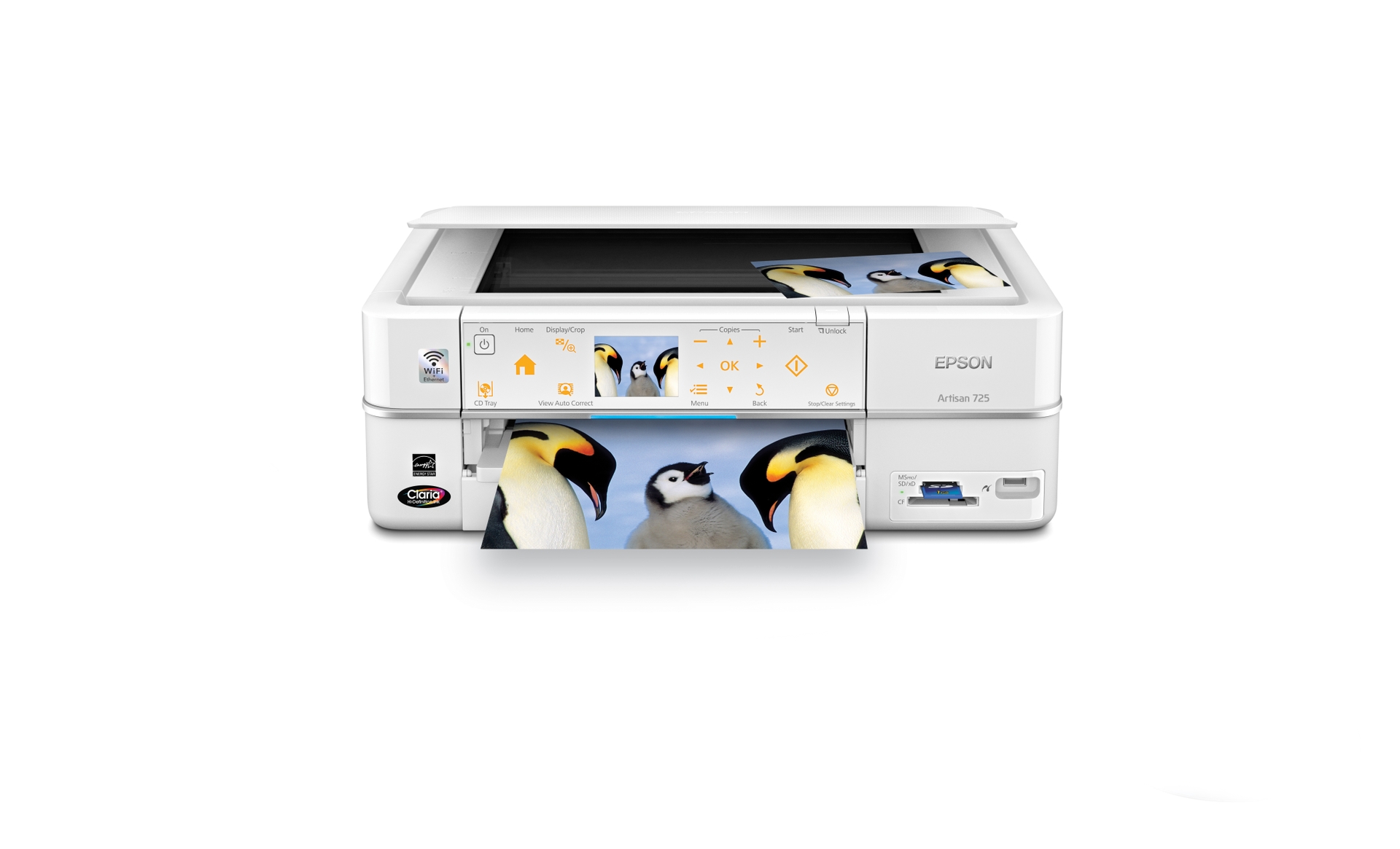 Media Library | Epson CA