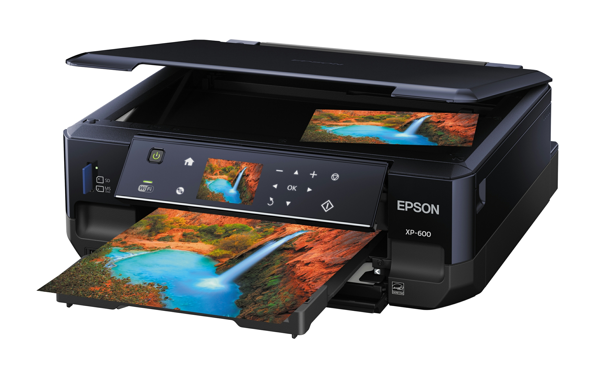 Expression Series | Epson CA