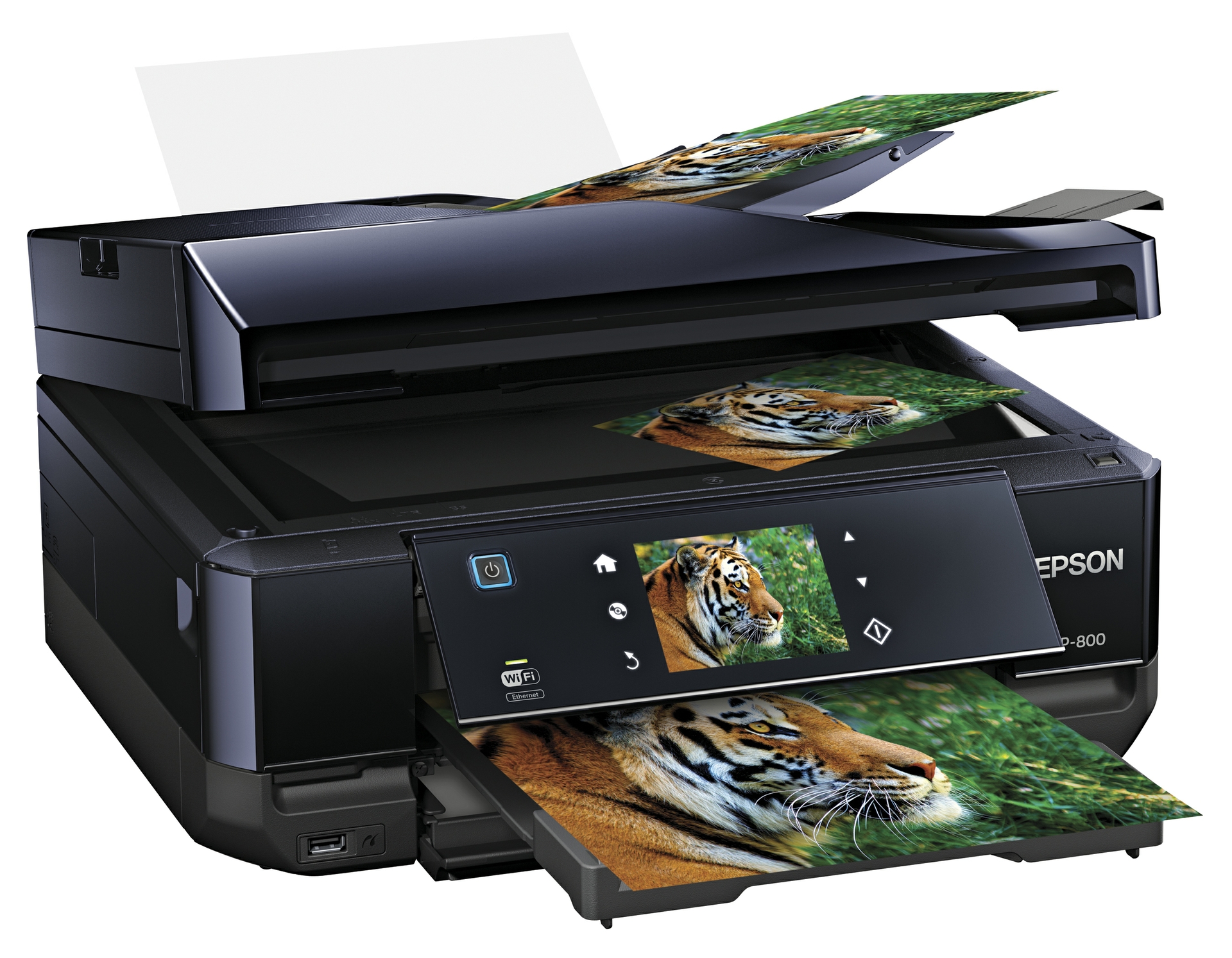 Photo | Expression Premium XP-800 Right | Epson CA
