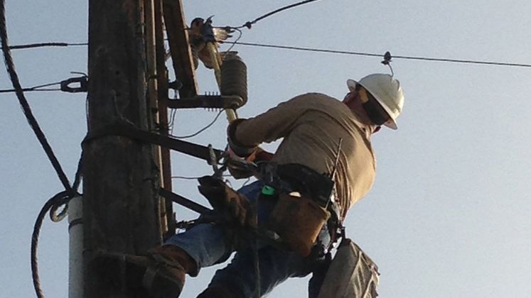 Lineman Helps Rescue Falcon Tangled in Power Lines | Edison ...
