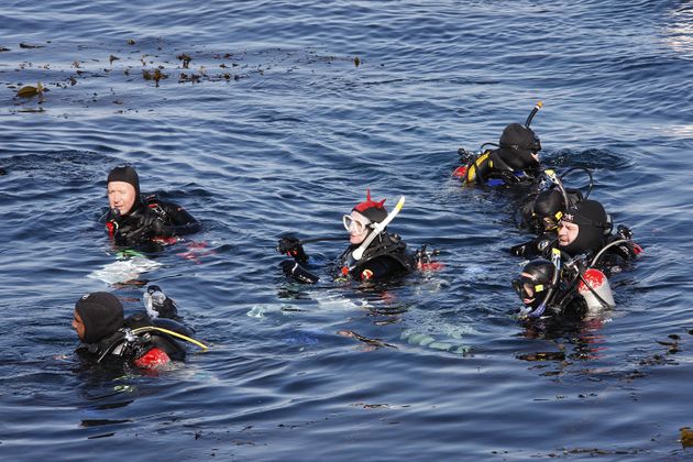 Volunteer Divers Survey Reefs and Help Preserve Ocean Waters Near ...