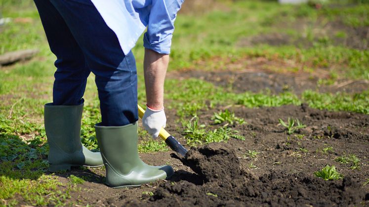 Digging Safely is as Easy as Dialing 811 | Edison International | Newsroom