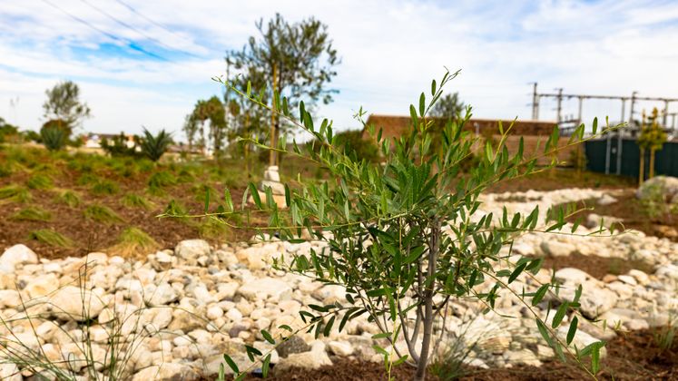 Huntington Beach Substation Receives Ocean Friendly Makeover | Edison ...