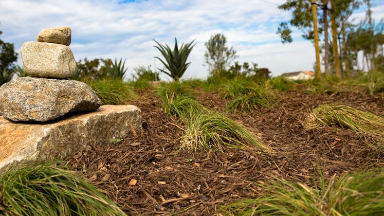 Huntington Beach Substation Receives Ocean Friendly Makeover | Edison ...