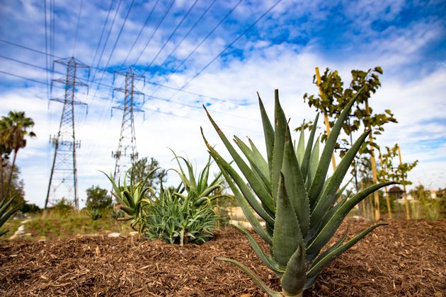 Huntington Beach Substation Receives Ocean Friendly Makeover | Edison ...