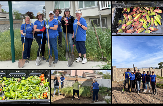 Go paperless this Earth Day and other ways to help the planet | Regence