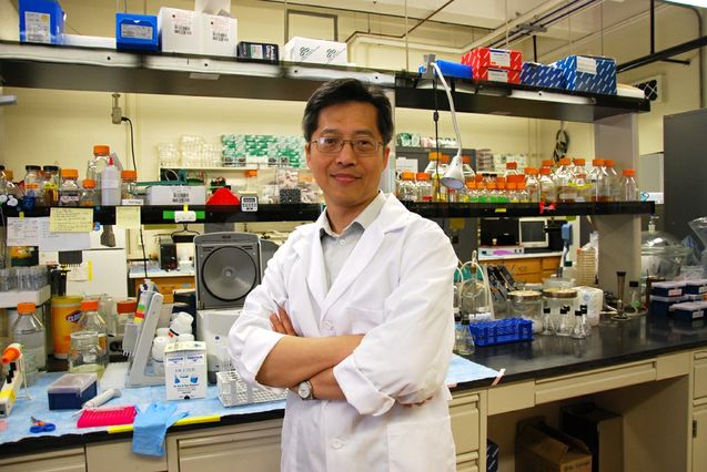 Photo | James C. Liao in his lab | UCLA