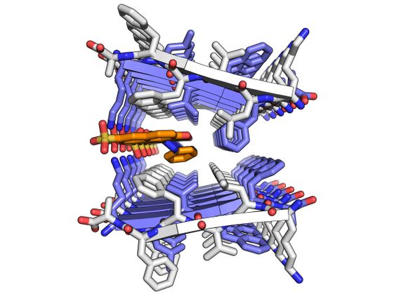 Photo | Segment of protein that forms amyloid fibers in Alzheimer's | UCLA