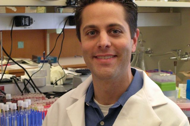 Blocking a key protein boosts immune system's ability to clear chronic ...