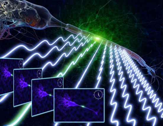 Researchers develop new type of fluorescent camera for blood ...