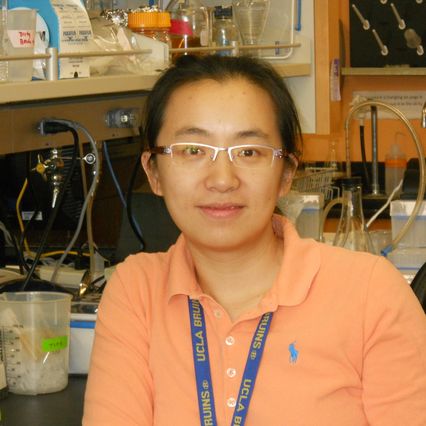 Photo | Yanling Wang photo | UCLA