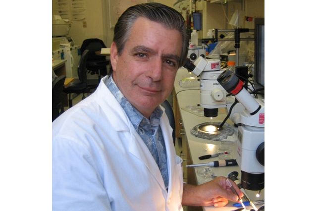 Two professors elected to National Academy of Sciences | UCLA