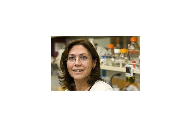 Iruela-Arispe wins Gold Shield Faculty Prize | UCLA