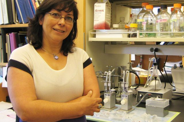 Vascular biologist wins Gold Shield Faculty Prize | UCLA