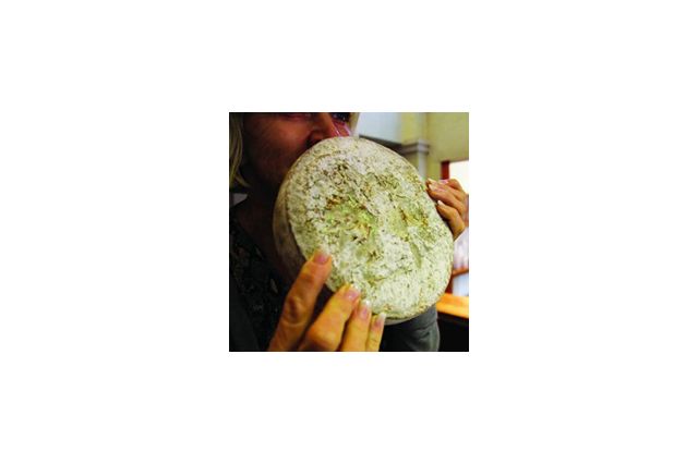 Stinky cheese offers us a whiff of knowledge about our body’s bacteria ...