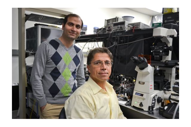 Professor Bahram Jalali and Mohammad Asghari win electrical engineering ...