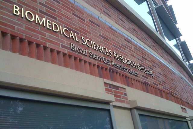 Stem cell agency's grants to UCLA help set stage for revolutionary ...